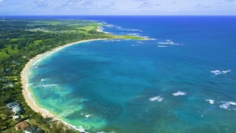 Goat Ocean Stock Video Footage | Royalty Free Goat Ocean Videos | Pond5