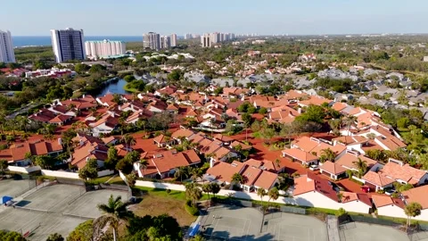 Florida Pelican Video Stock Videos – Royalty-Free HD & 4K Videos