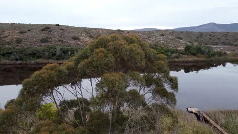 Video Camera 3500M Stock Videos – Royalty-Free HD & 4K Videos | Pond5