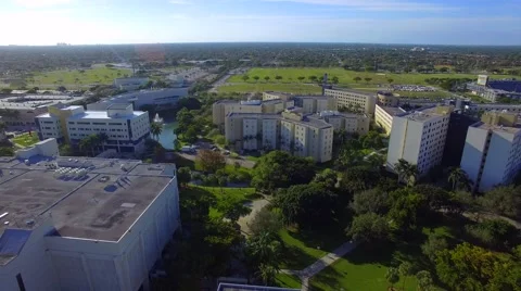 Fiu Stock Videos – Royalty-Free HD & 4K Videos