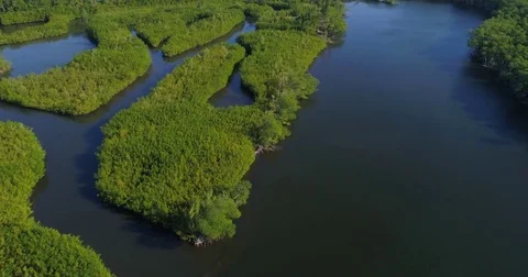 Wwwtinyteen4K Stock Footage ~ Royalty Free Stock Videos | Pond5