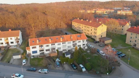 Nice Forest Area Stock Videos – Royalty-Free HD & 4K Videos | Pond5