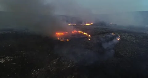 Wild Fire Video Stock Videos – Royalty-Free HD & 4K Videos | Page 2
