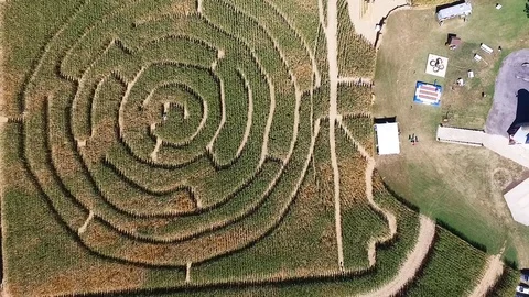 Aerial view of alien crop circles in a f... | Stock Video | Pond5
