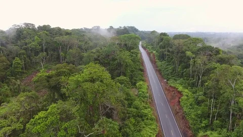 Aerial view of an Amazonian highway cut ... | Stock Video | Pond5