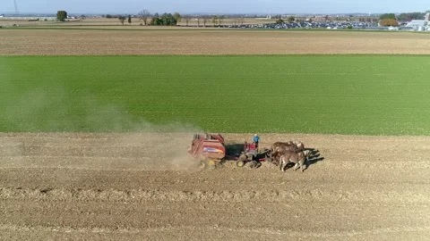 Aerial View of an Amish Man and Woman Ha... | Stock Video | Pond5