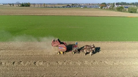 Aerial View of an Amish Man and Woman Ha... | Stock Video | Pond5