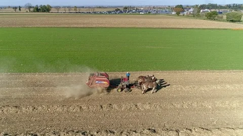 Aerial View of an Amish Man and Woman Ha... | Stock Video | Pond5