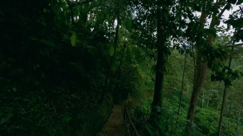 Aerial view Asian tropical jungle park r... | Stock Video | Pond5