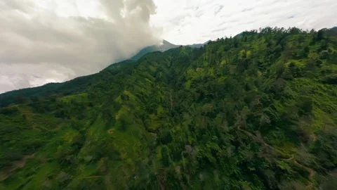 Aerial view Asian tropical rainforest gr... | Stock Video | Pond5