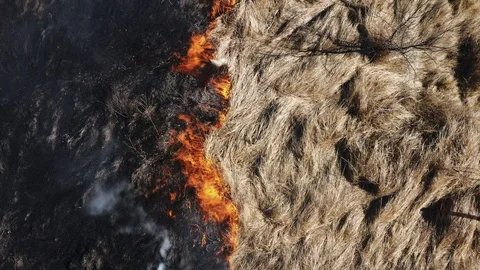 Aerial view of the burning texture dry g... | Stock Video | Pond5