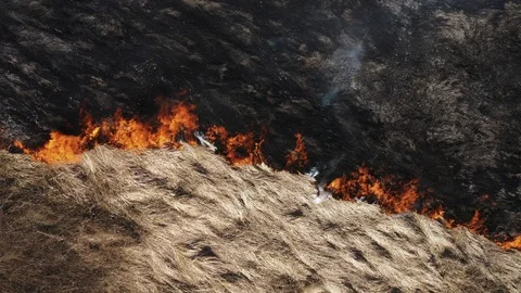 Aerial view of the burning texture dry g... | Stock Video | Pond5