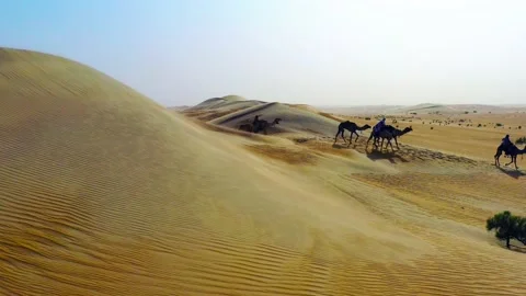 Camel Stock Video Footage | Royalty Free Camel Videos | Pond5