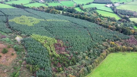 Aerial view of celtic cross growing in a... | Stock Video | Pond5