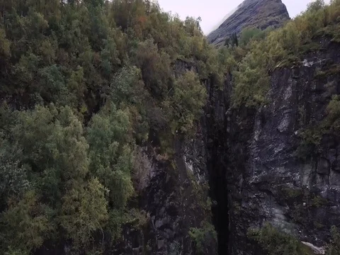 View From Cliffs Mountains Forest