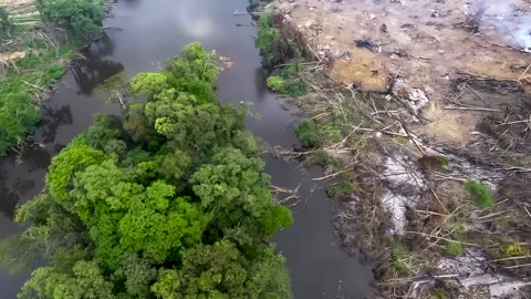 Aerial view. Consequences of mass defore... | Stock Video | Pond5