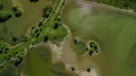 Aerial view with a delta, an ecosystem f... | Stock Video | Pond5