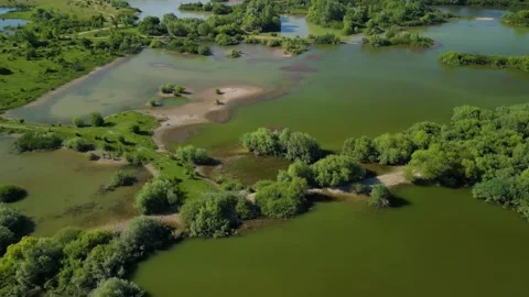 Aerial view with a delta, an ecosystem f... | Stock Video | Pond5