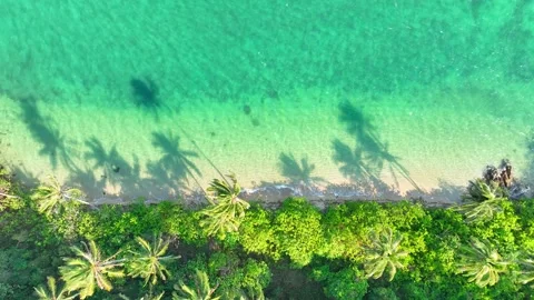 Aerial view from a drone over a beach in... | Stock Video | Pond5