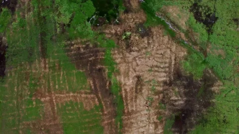 Aerial view dry grass in field look down | Stock Video | Pond5