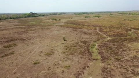 Aerial view of dry swamp during severe d... | Stock Video | Pond5