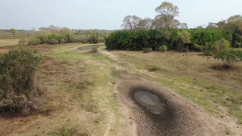 Aerial view of dry swamp during severe d... | Stock Video | Pond5