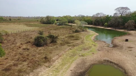 Aerial view of dry swamp during severe d... | Stock Video | Pond5