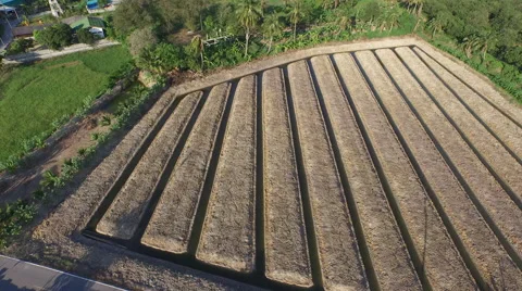 Aerial view of empty vegetable field in ... | Stock Video | Pond5