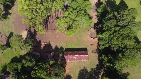 Aerial view of farming shed in forest. S... | Stock Video | Pond5