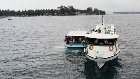 Male Platform Diving Stock Videos – Royalty-Free HD & 4K Videos | Pond5