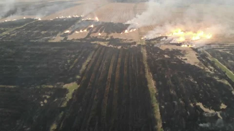 Aerial view fire burn rice field with sm... | Stock Video | Pond5