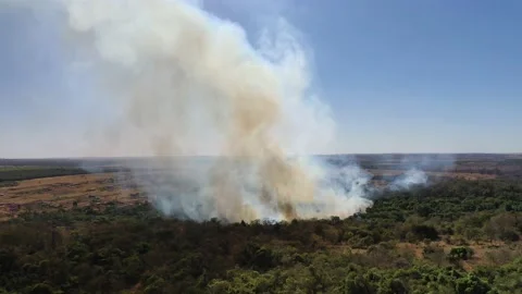 Aerial view of fire in Cerrado biome nat... | Stock Video | Pond5