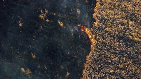Aerial view Fire extinguishing. Fireman ... | Stock Video | Pond5