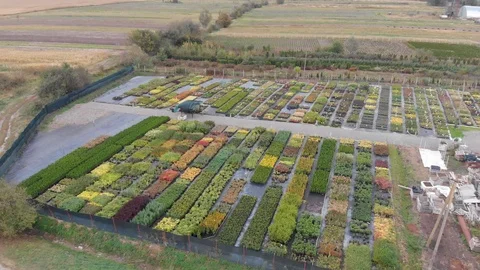 aerial view of flowers in plant nursery,... | Stock Video | Pond5