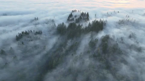 Drifting Fog Stock Videos – Royalty-Free HD & 4K Videos