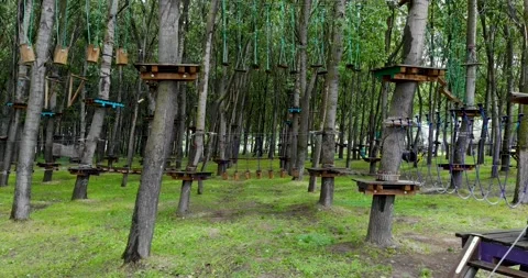 Aerial View Of Forest Adventure Park Wit... | Stock Video | Pond5