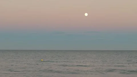 Cast Under Stock Videos – Royalty-Free HD & 4K Videos