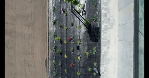 Aerial View of a Garden Layout Design. W... | Stock Video | Pond5