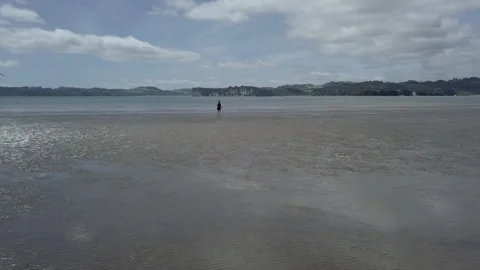 Black Girl Backshots Stock Videos – Royalty-Free HD & 4K Videos | Page 2