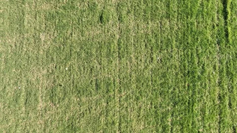 aerial view of grass texture above groun... | Stock Video | Pond5