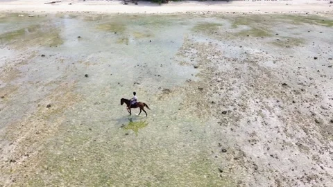Aerial View of Guy Riding Horse on the B... | Stock Video | Pond5