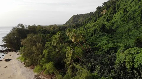 Island Pac Stock Videos – Royalty-Free HD & 4K Videos