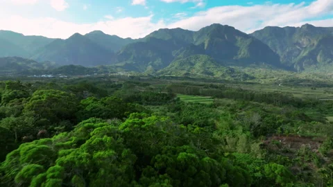 Aerial view of King Kong mountain at Tai... | Stock Video | Pond5