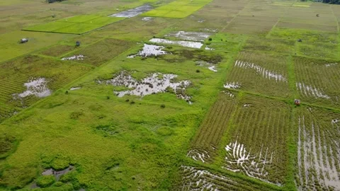 So Big Stock Videos – Royalty-Free HD & 4K Videos