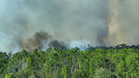 Aerial view of large wildfire burning se... | Stock Video | Pond5