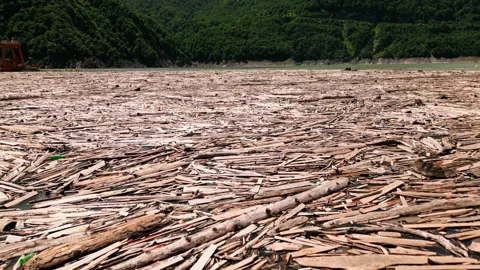 Aerial view of log jam, driftwood accumu... | Stock Video | Pond5