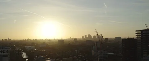 Canary Stock Videos – Royalty-Free HD & 4K Videos | Pond5