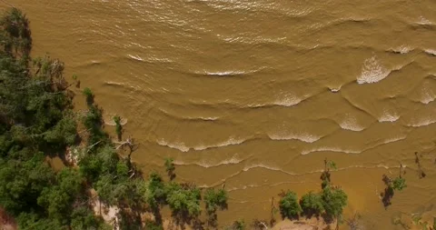 aerial view of the mangrove in the Amazo... | Stock Video | Pond5