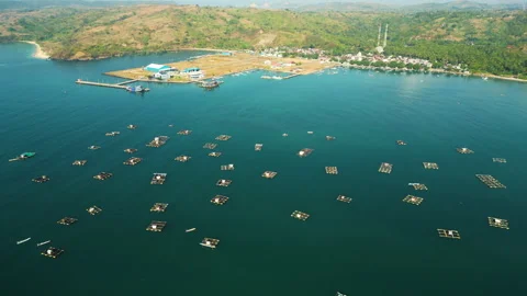 Aerial view of many floating cages for f... | Stock Video | Pond5