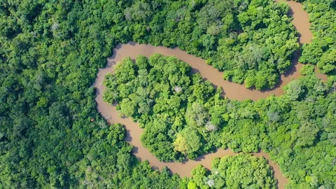 Jungle River Stock Video Footage | Royalty Free Jungle River Videos | Pond5